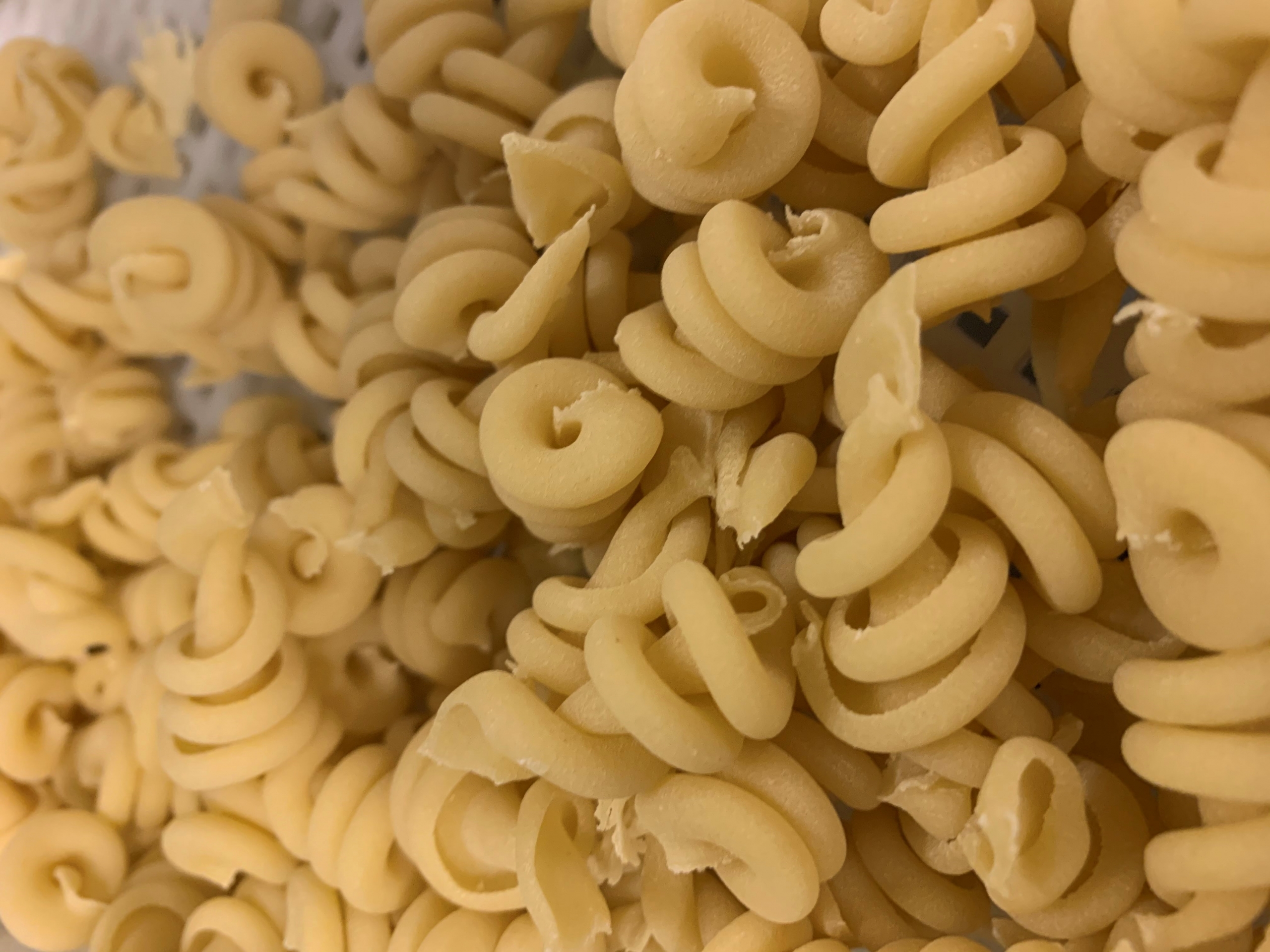 pasta 31120 - Pasta Rea